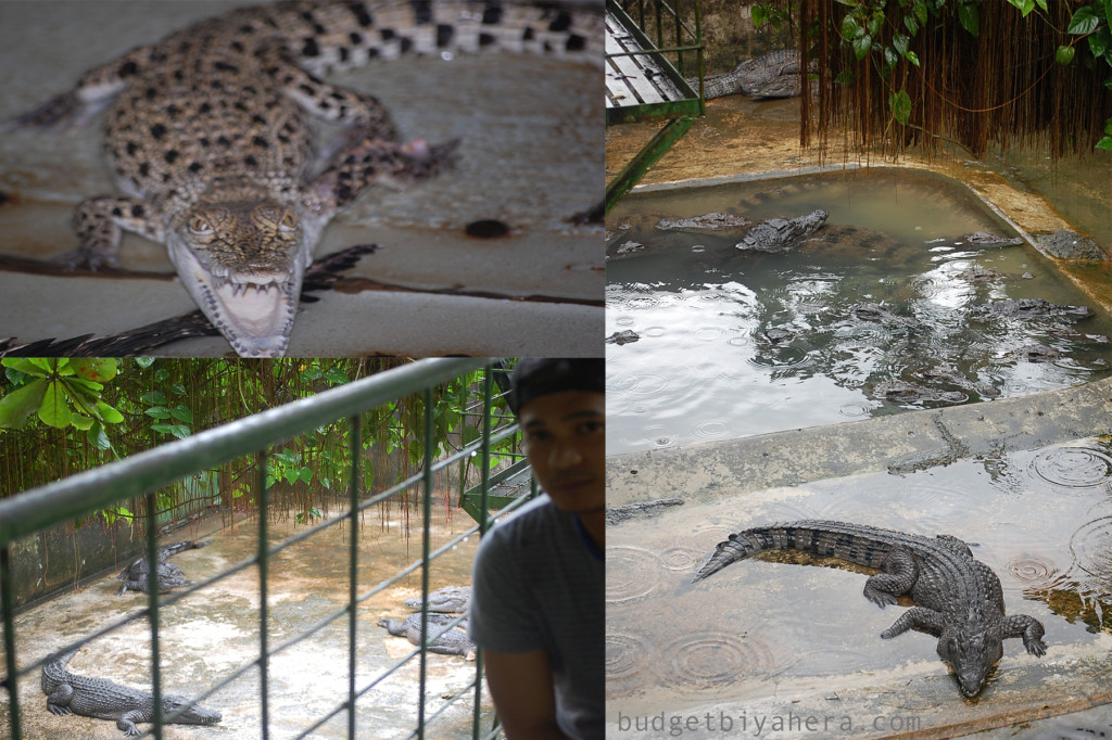 4 Eye-catching sites that you can explore in Puerto Princesa in just 4 ...